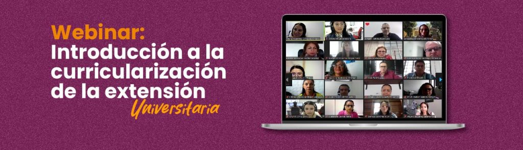 Vicerrectoría de Investigaciones, Innovación y Extensión ...